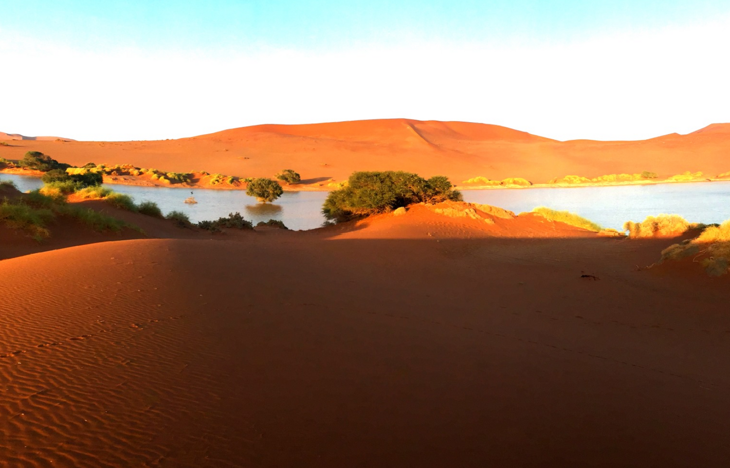 NAMIB CHILLI – Namib Chilli